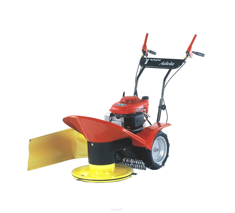 4034 - BDR-585 Adela